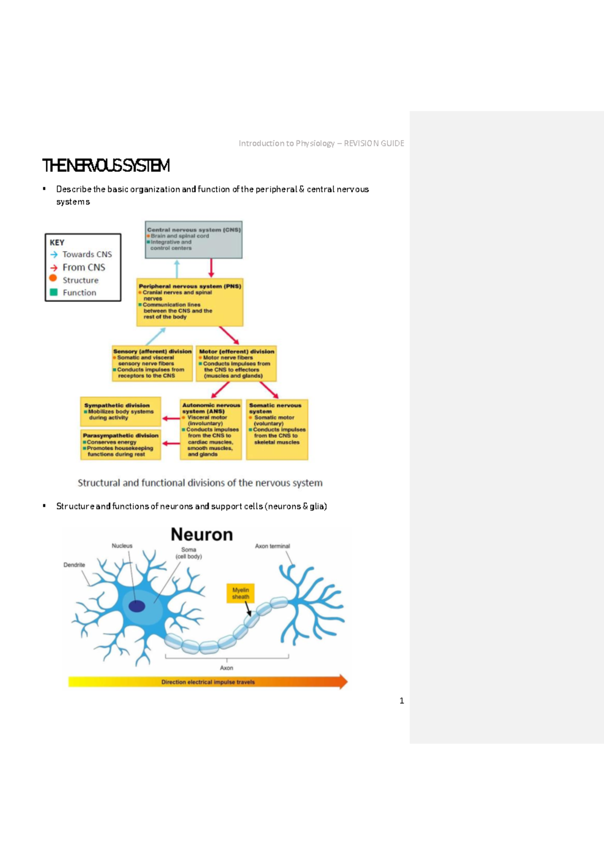 Introduction to Physiology Study Guide: Nervous System & Endocrine ...