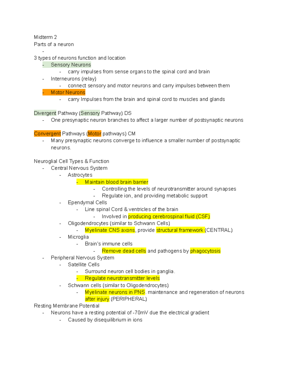 Neuroscience MIDTERM 2 Study Guide: Neurons, Action Potentials, and ...