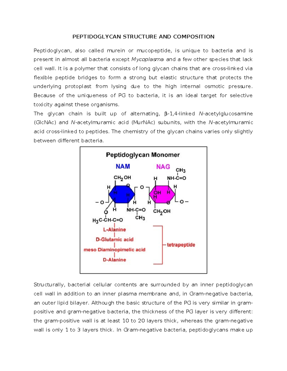 CELL WALL STRUCTURE AND BIOSYNTHESIS IN BACTERIA - BIOL 101 - Studocu