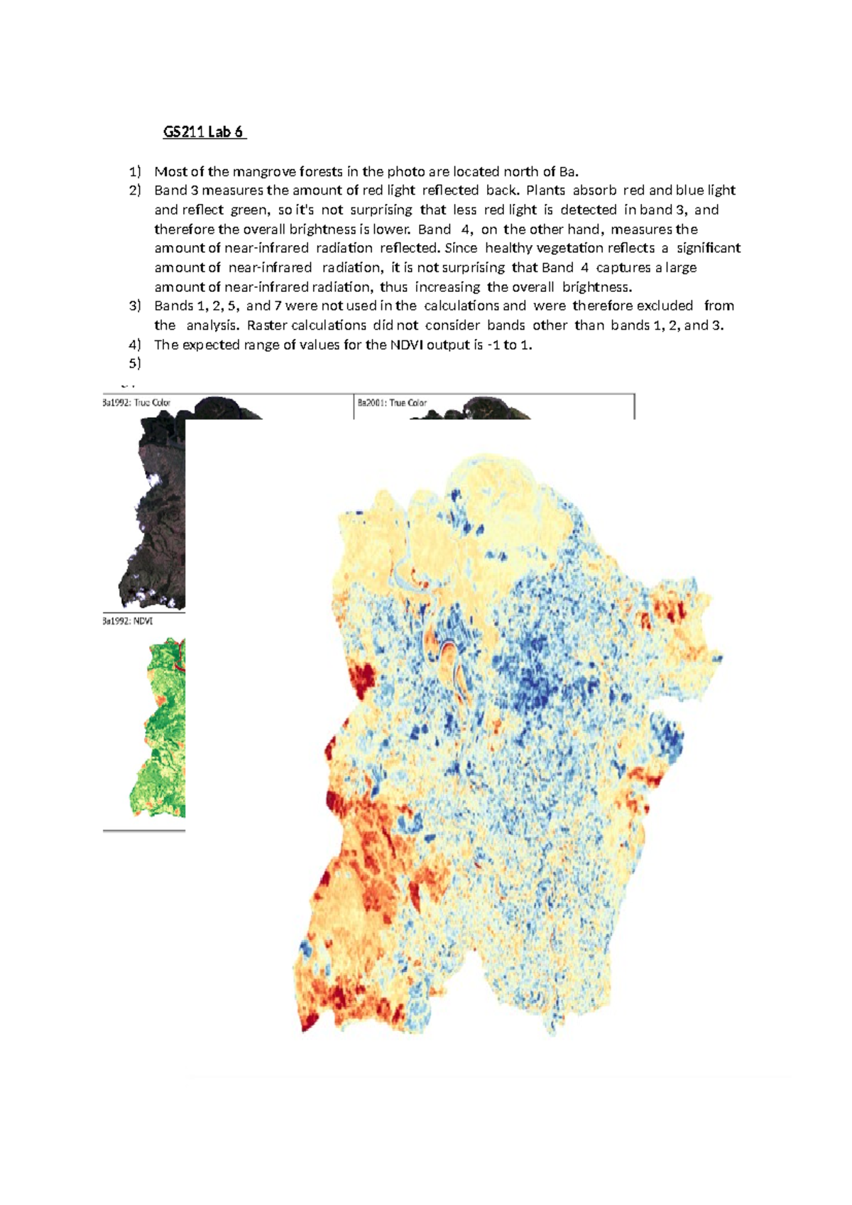 GS211 Lab 6: Analysis of Mangrove Forest Reflectance and NDVI - Studocu