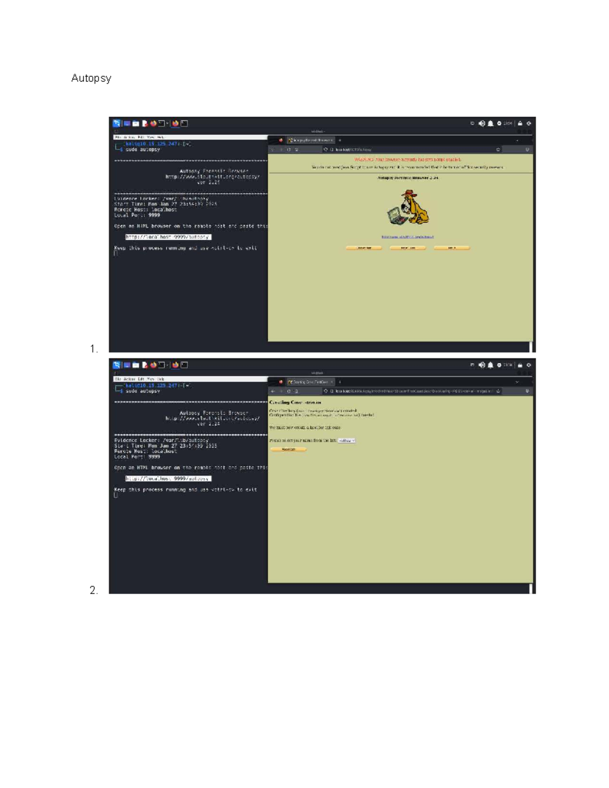 Lab Report: Autopsy Forensic Browser Operations (Course Code: None ...