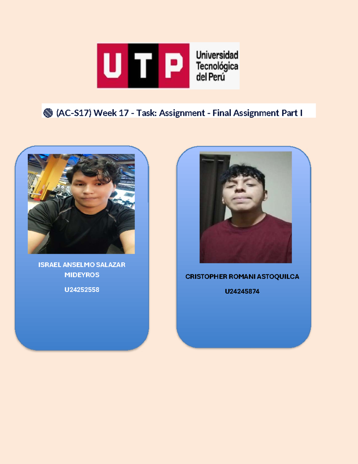 Week 17 Task: Final Assignment Part I (AC-S17) - Studocu