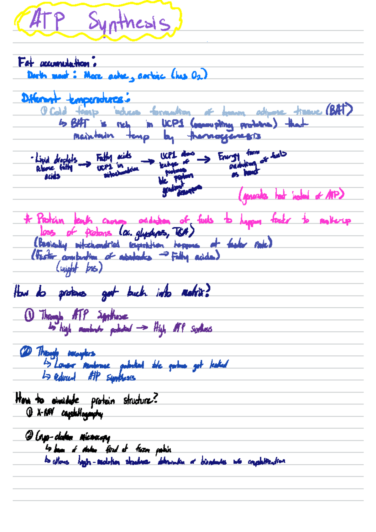 ATP Synthesis - Lecture Notes (Course Code: Bocre 02) - Studocu