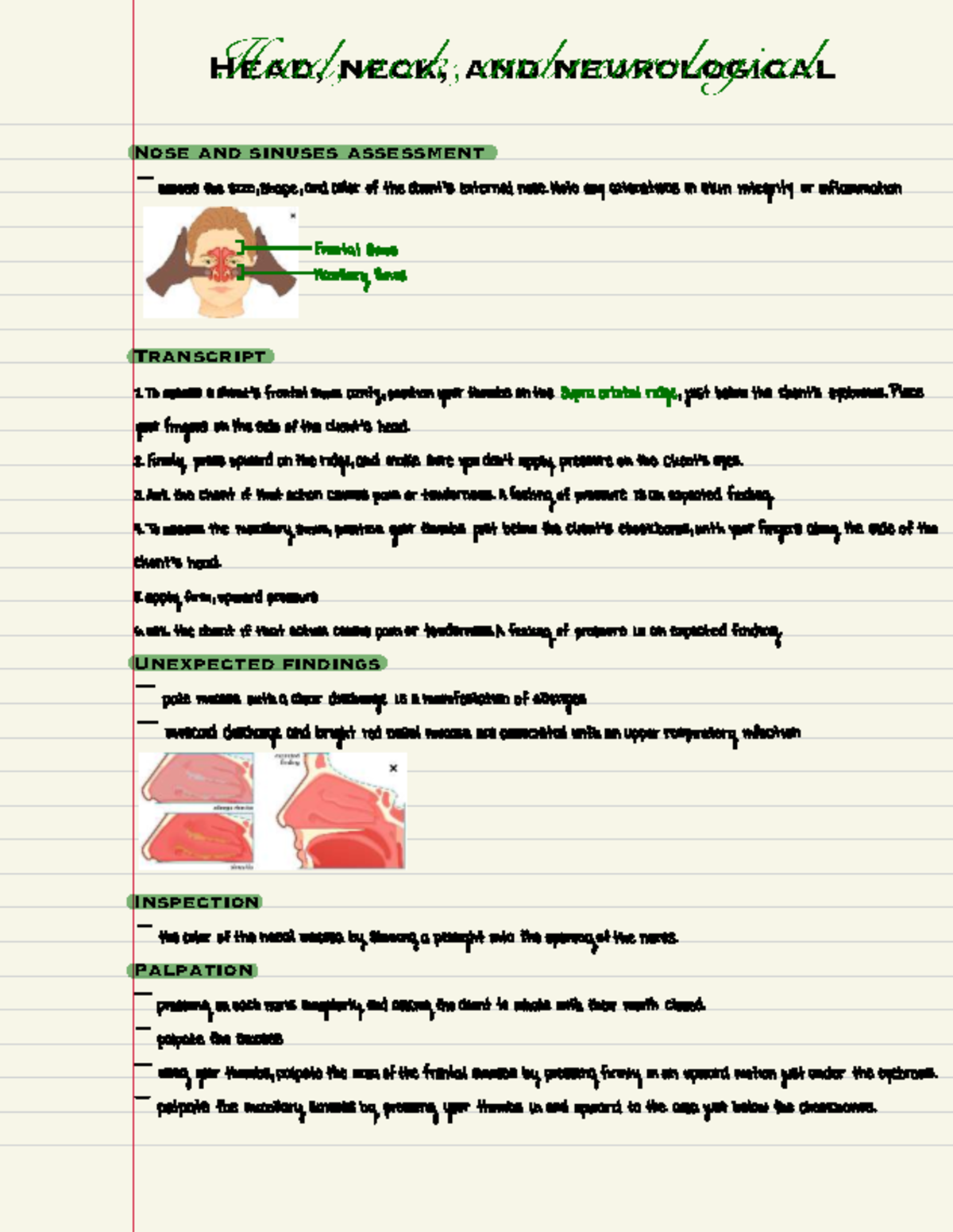 Assessment Techniques for Nose & Sinuses in Clinical Practice - Studocu