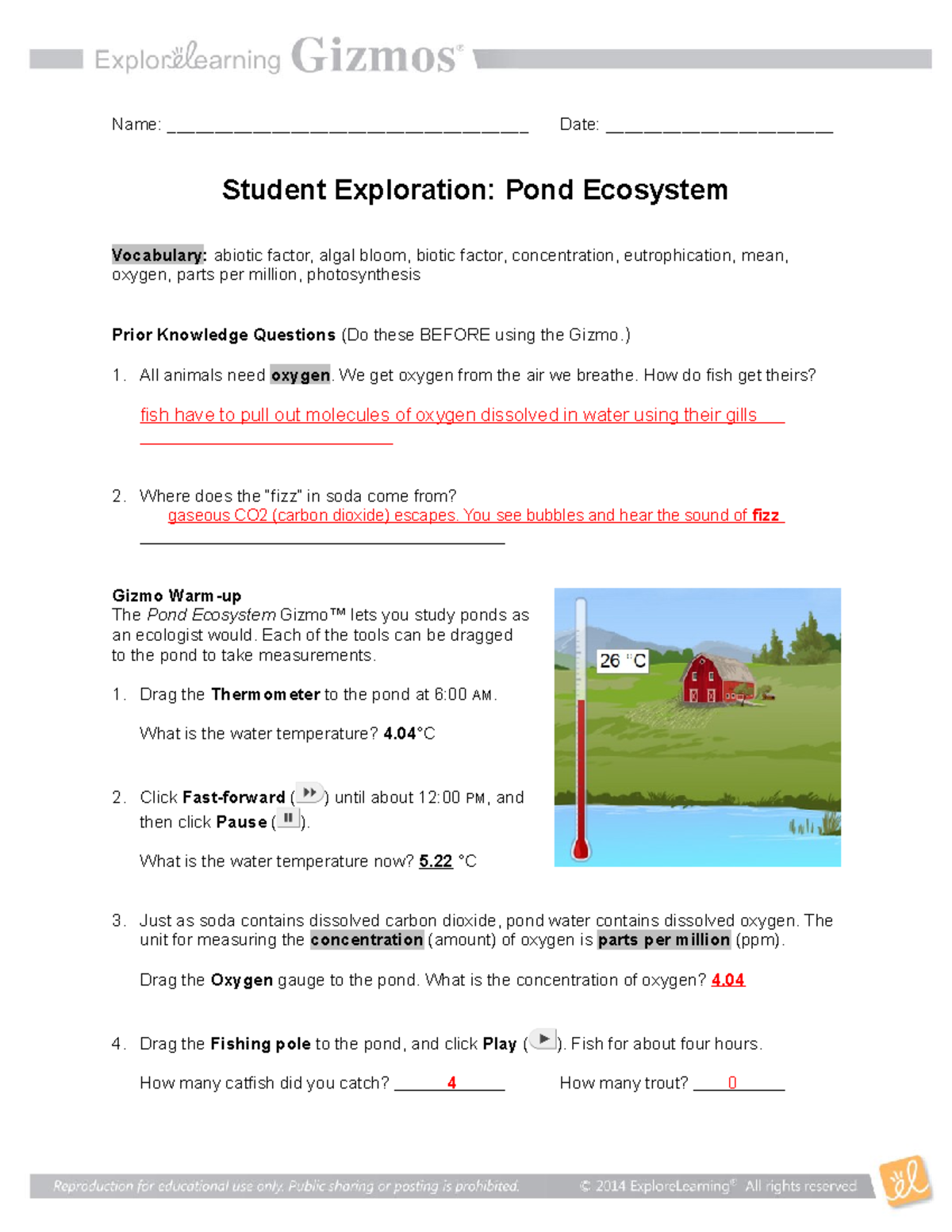 Copy of 3 - Worksheet Gizmo Pond Ecosystem - Name