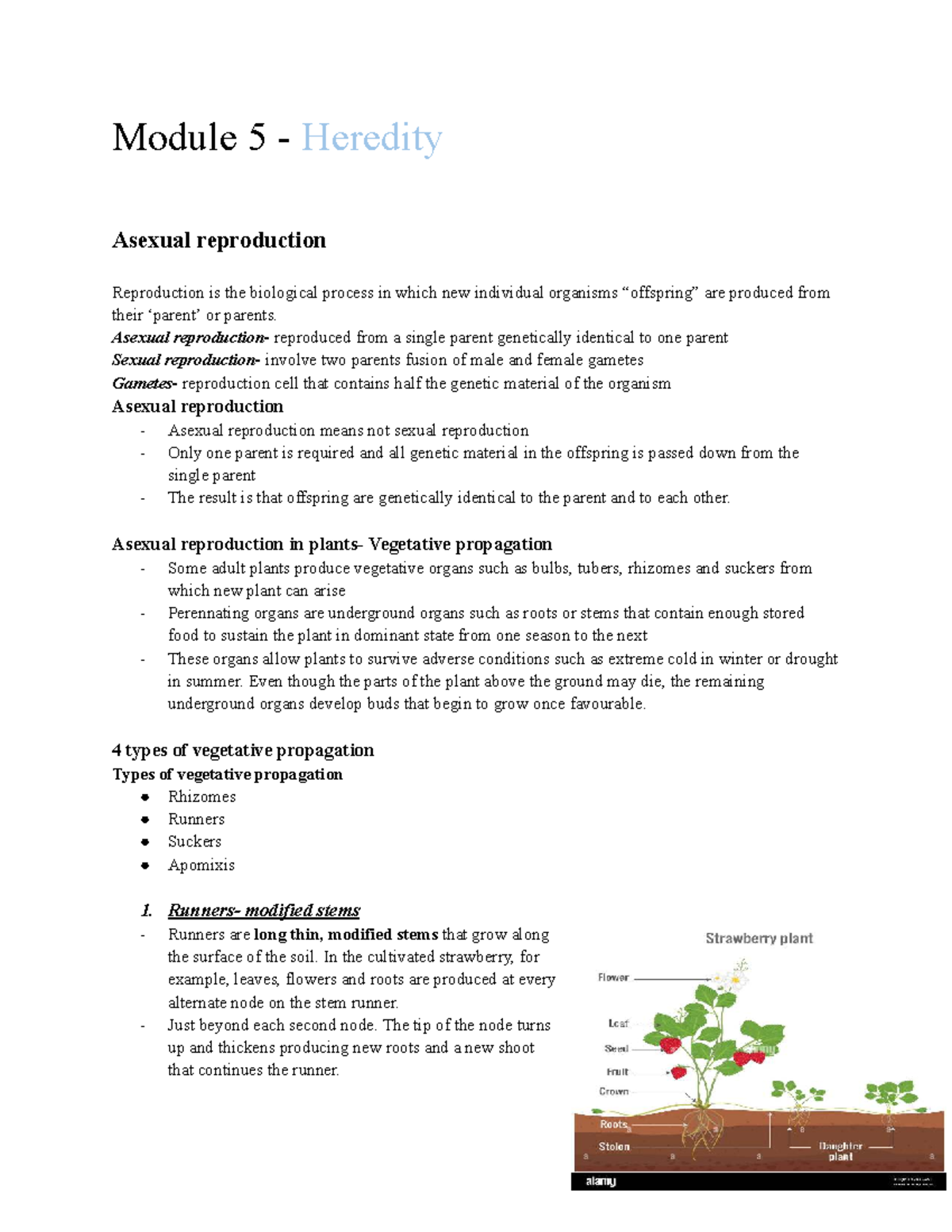 Biology yr12 notes - Module 5 - Heredity Asexual reproduction ...