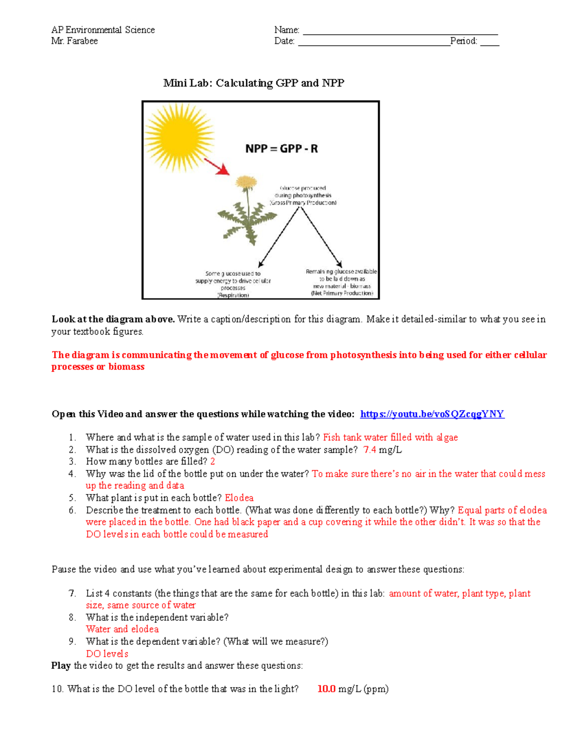 AP Environmental Science Mini Lab: GPP and NPP Calculations - Studocu