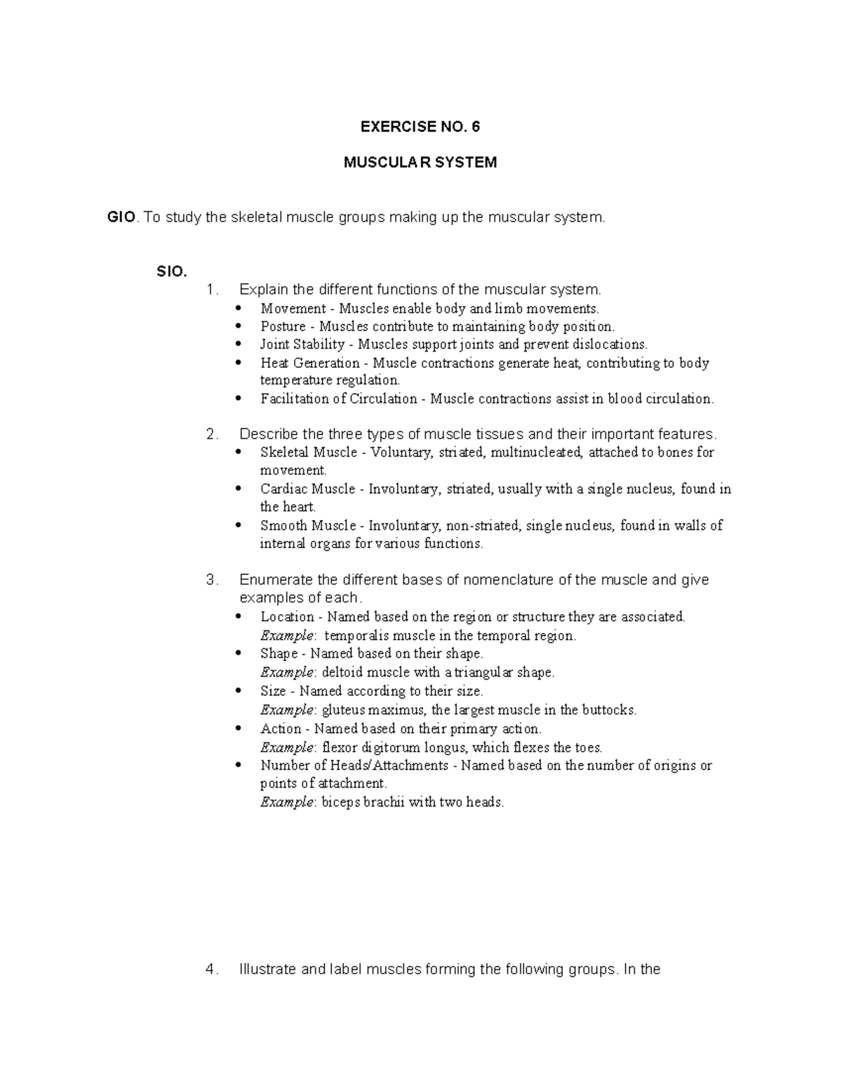 LAB Exercise on the Muscular System: Features and Functions - Studocu