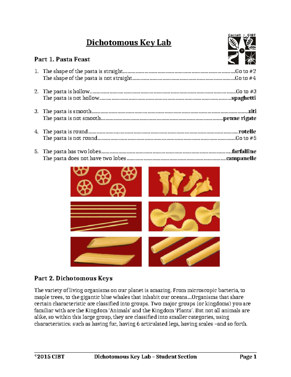 Dichotomous Key Lab Worksheet 2024: Classifying Organisms and Pasta ...