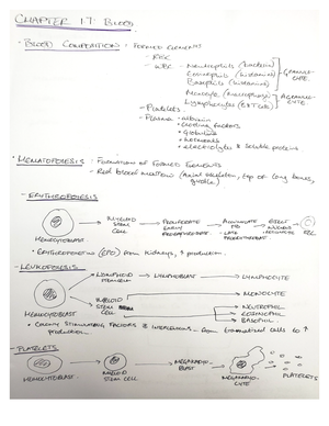 Reproduction Worksheet - Match each hormone with the appropriate ...