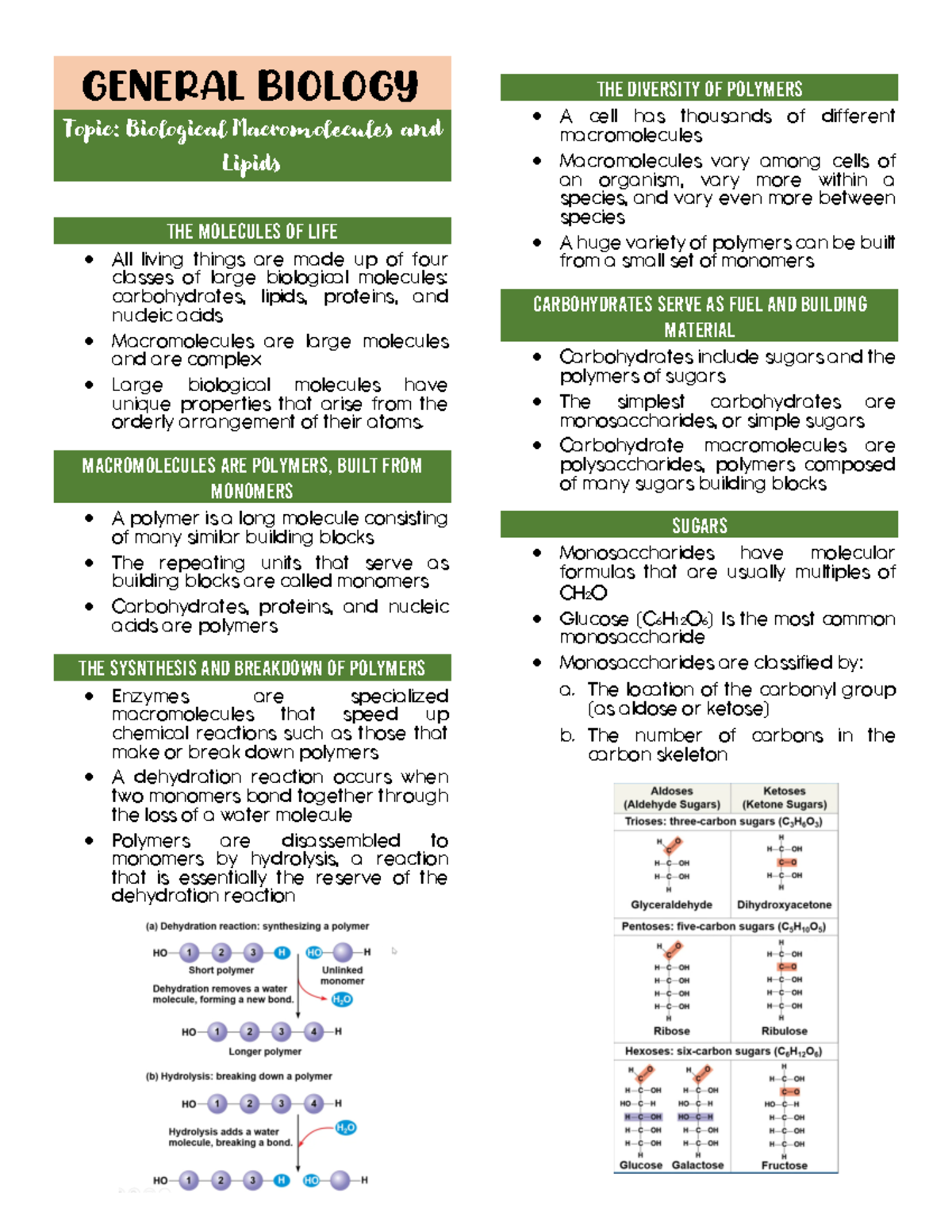 Biological Macromolecules AND Lipids - GENERAL BIOLOGY Topic ...