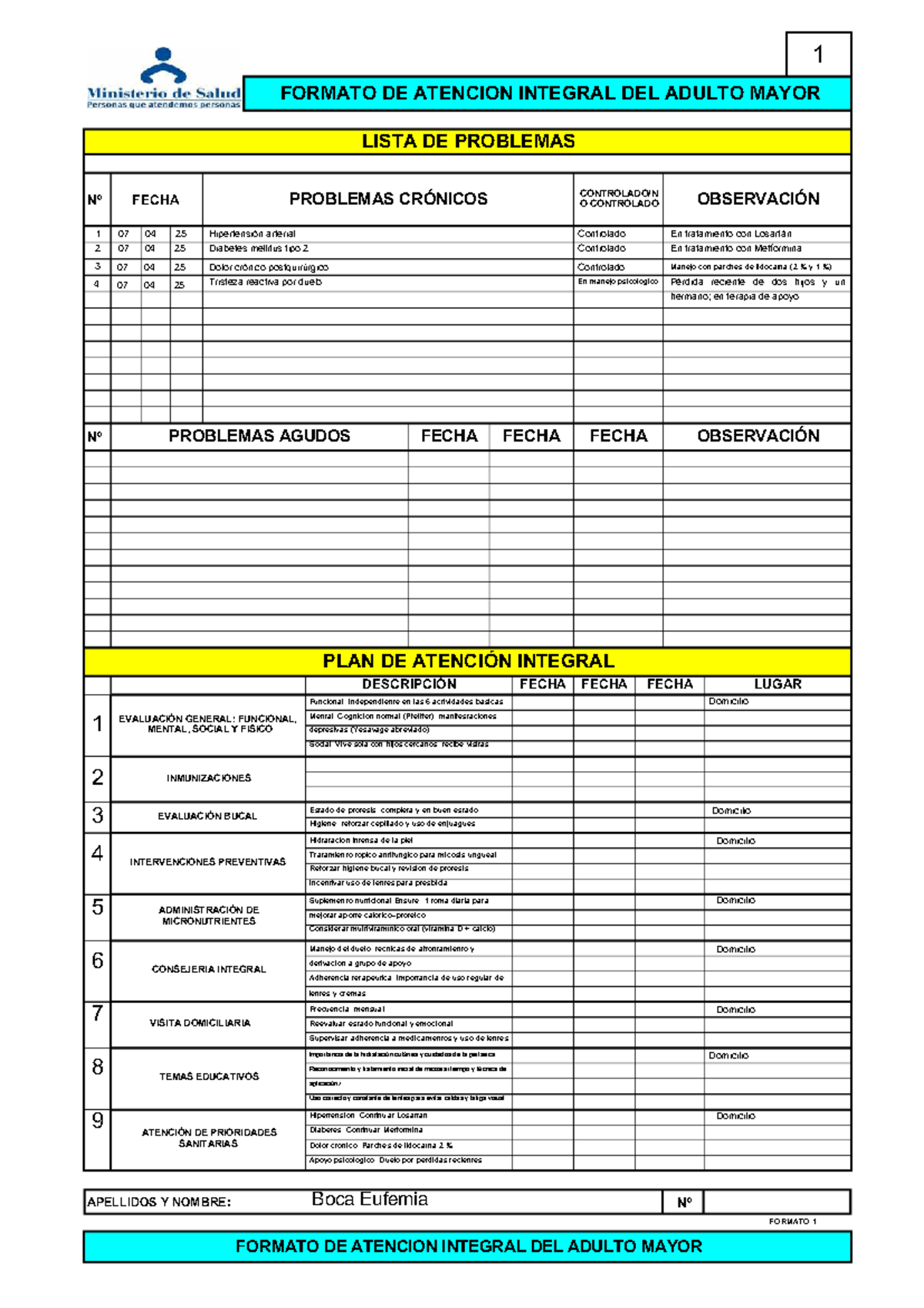 Vacam - PLAN DE ATENCIÓN INTEGRAL FORMATO DE ATENCION INTEGRAL DEL ...