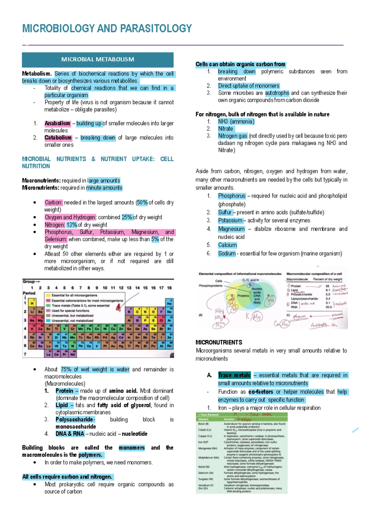 Microbial Taxonomy and Diversity - Department of Biology College of ...