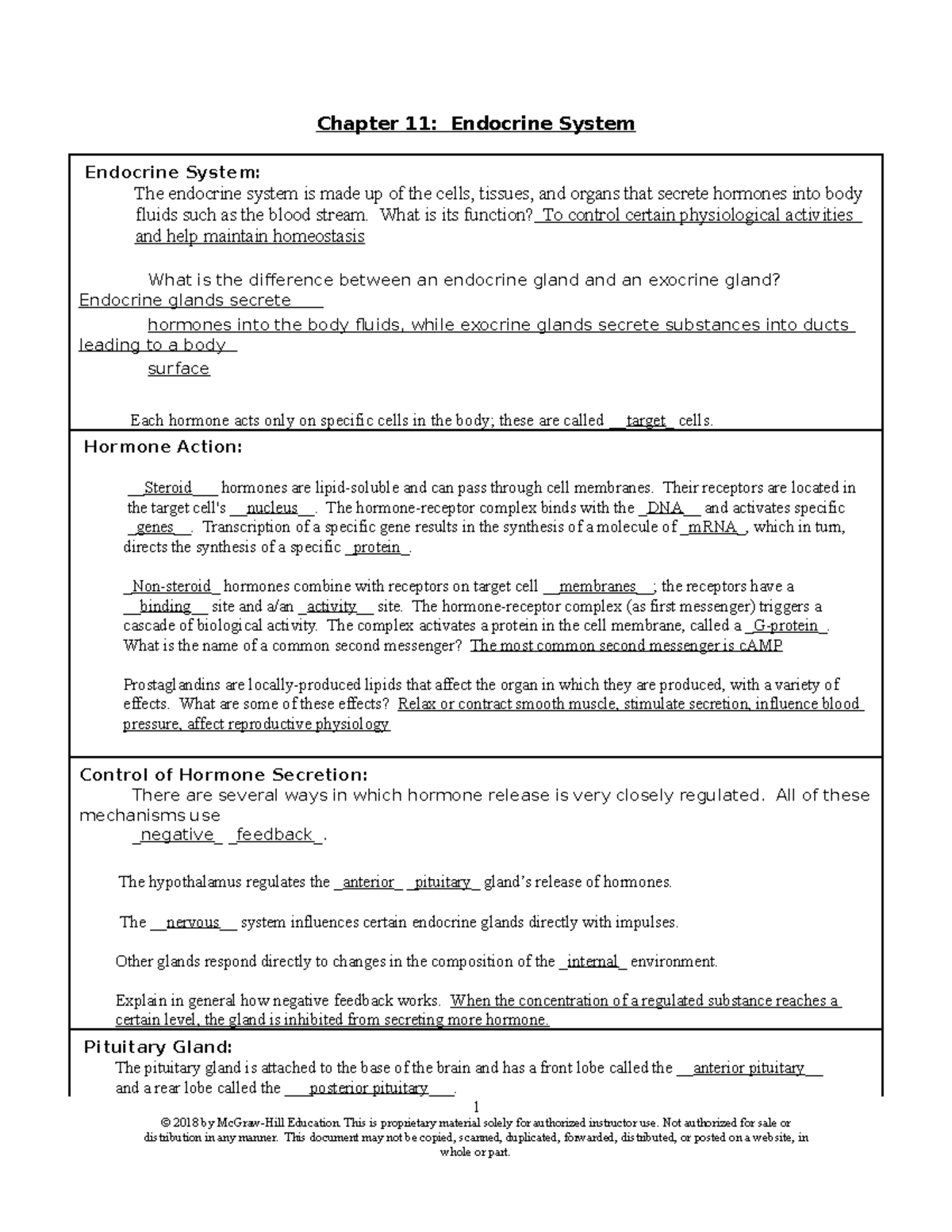 Endocrine System Answers - Chapter 11: Endocrine System Endocrine ...