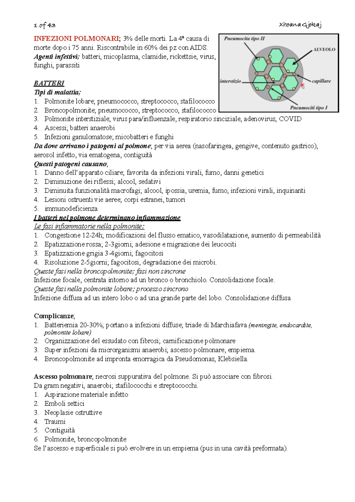 Anatomia Patologica 1: Infezioni Polmonari e Patologie Correlate - Studocu