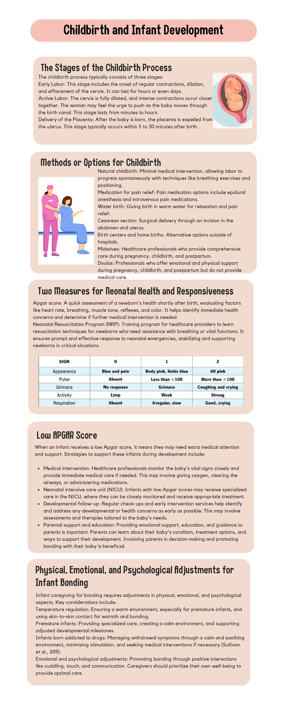 Childbirth and Infant Development Project Overview (CIN 2023) - Studocu
