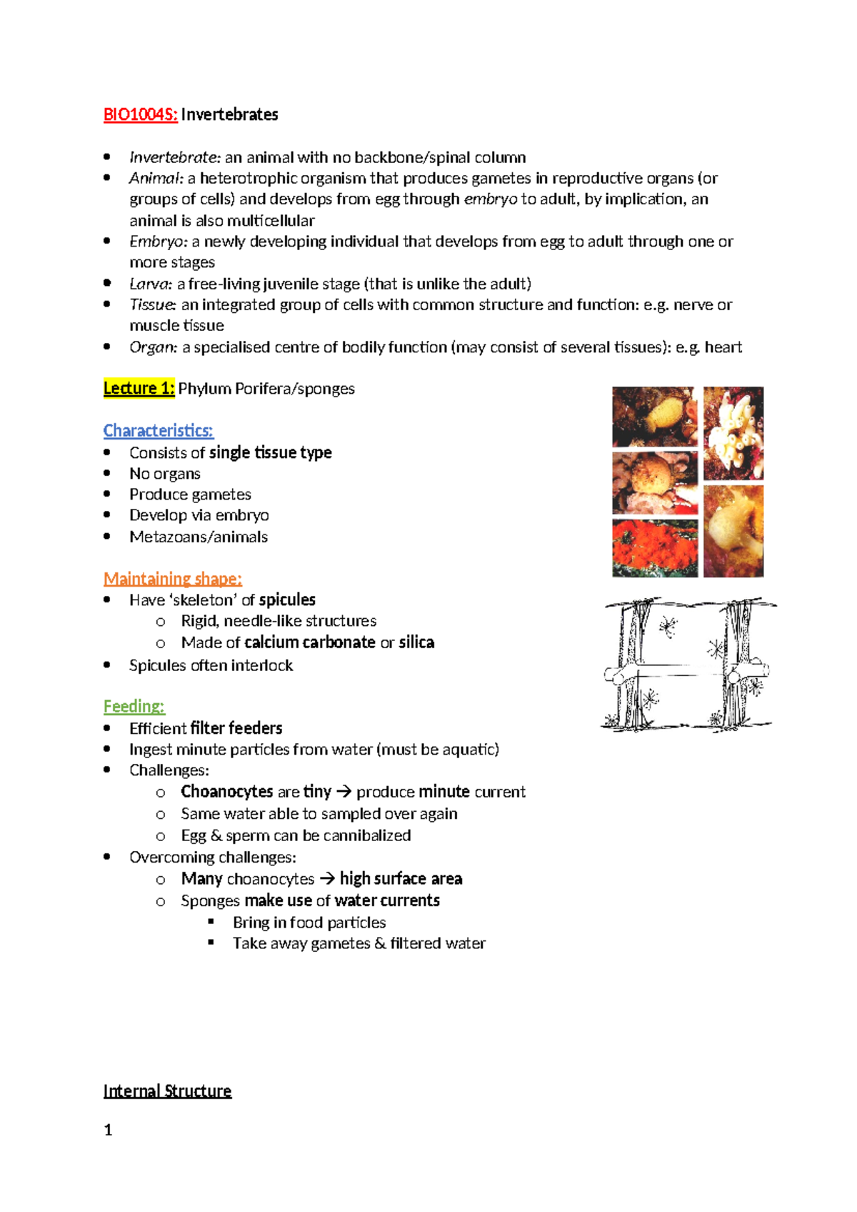 BIO1004S invertebrate notes - BIO1004S: Invertebrates Invertebrate: an ...