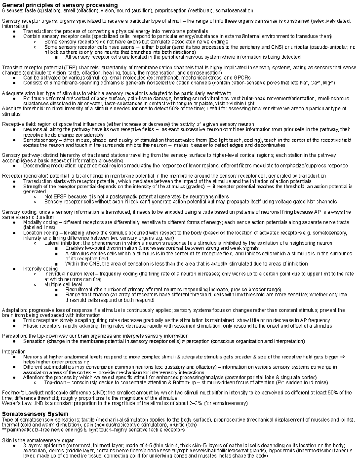 FBBC Exam 3 Notes: Sensory Processing and Perception Overview - Studocu