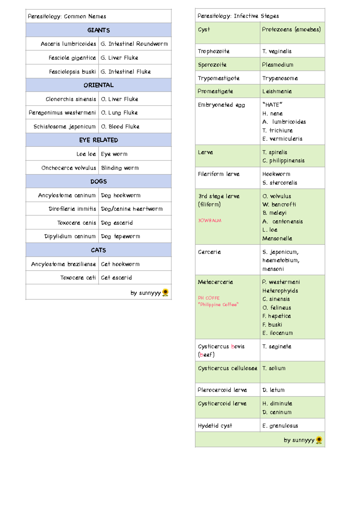 Parasitology Notes: Common & Infective Stages of Parasites - Studocu