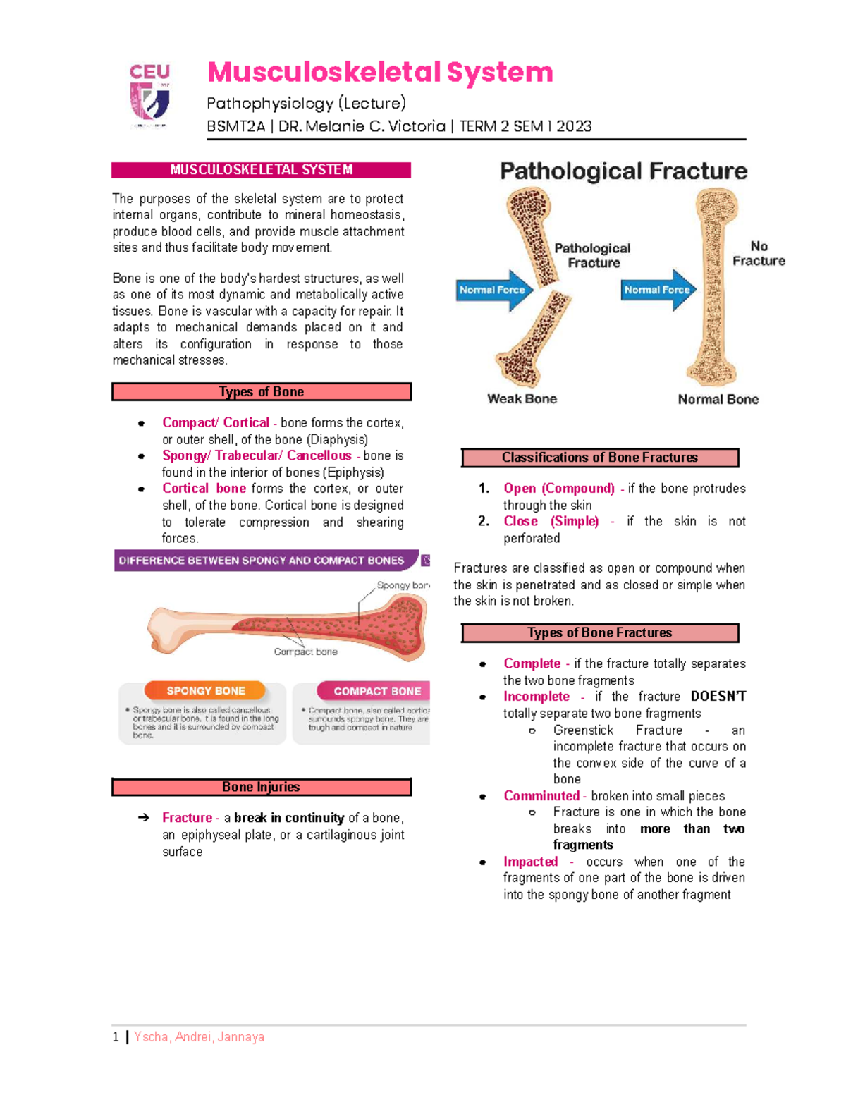 Pathophysiology - Musculoskeletal Transes - Pathophysiology (Lecture ...