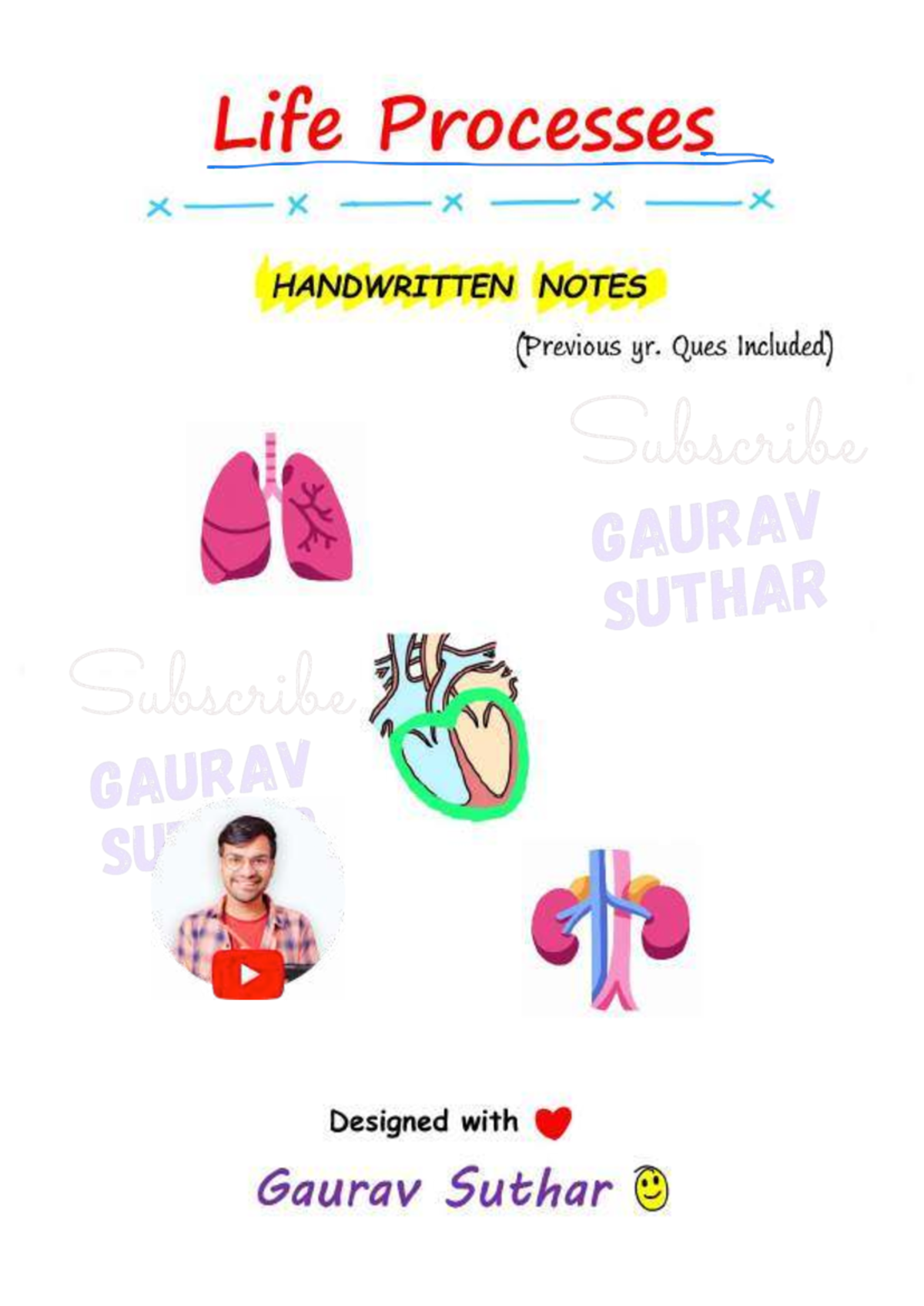 Digestive System Overview - Life Processes 2 (Ushshs) - Studocu