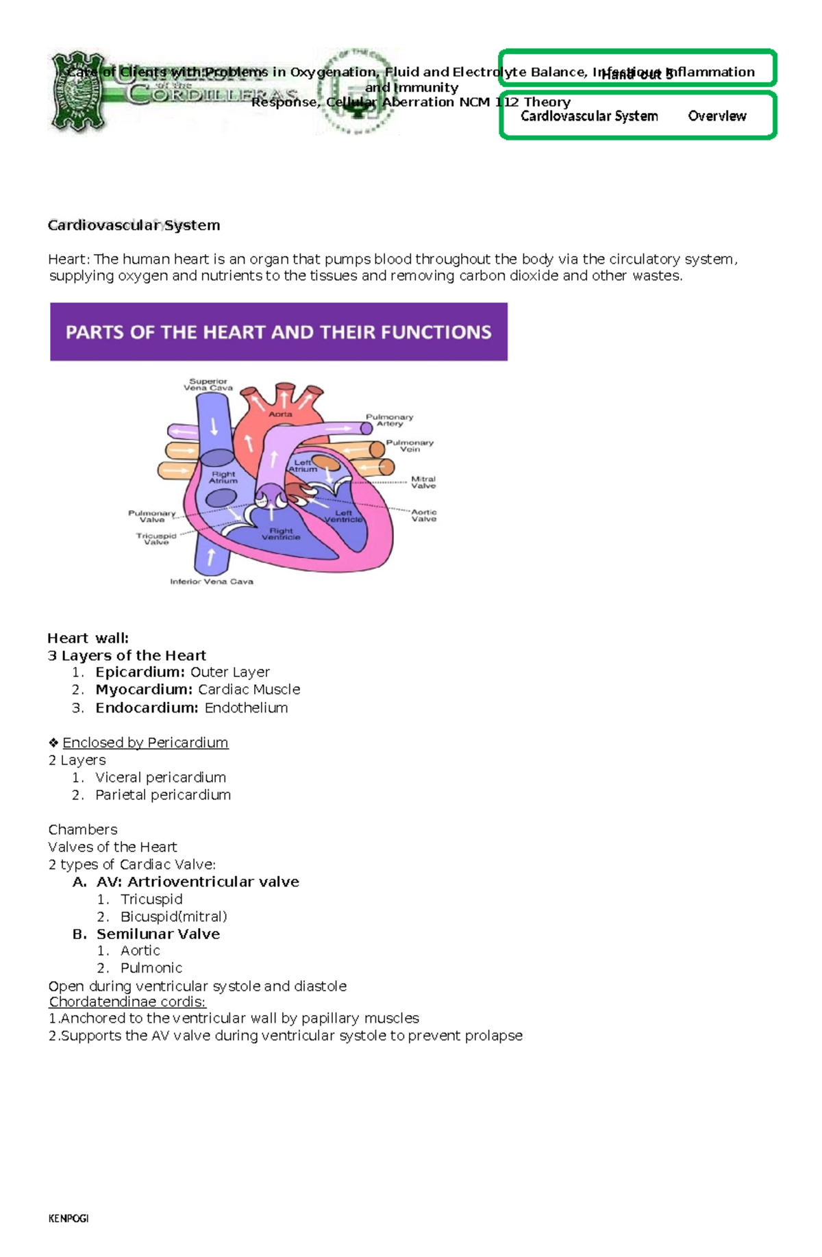 NCM 112 Final Exam Handout: Cardiovascular System Overview - Studocu