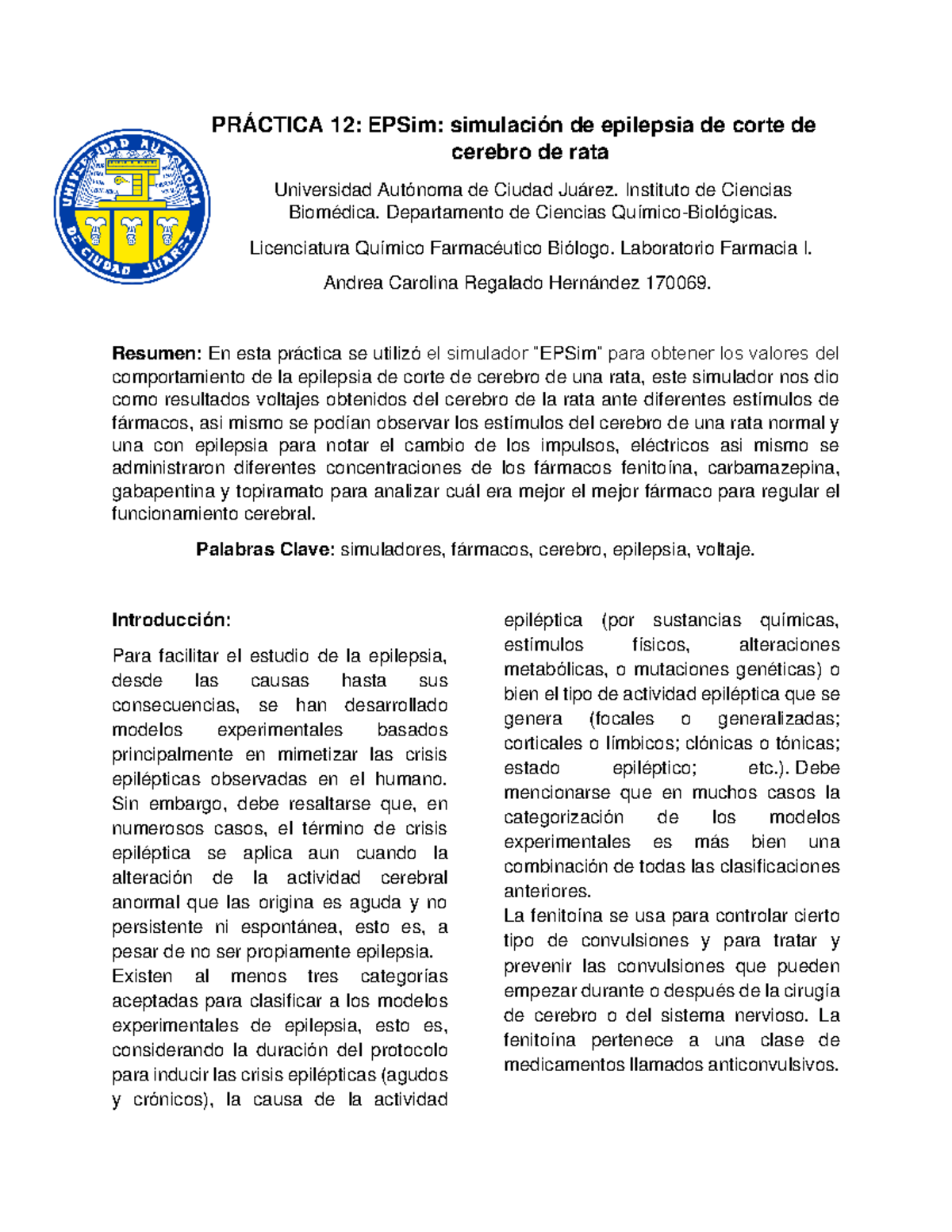 Practica 12 - Epilepsy Neuron simulation - PRÁCTICA 12: EPSim: simulación de epilepsia de corte ...