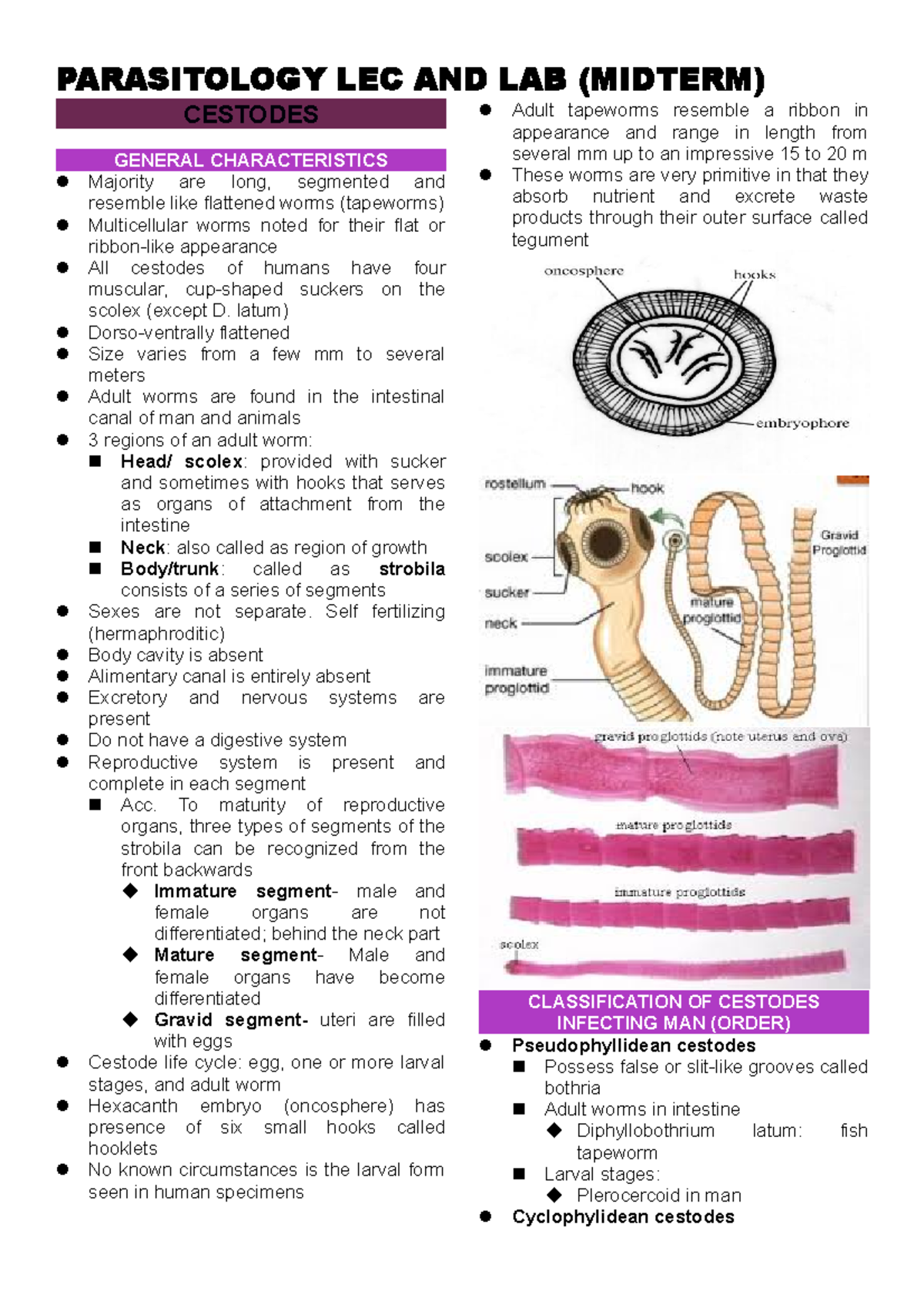 Parasitology- Cestodes- Medlabsci - CESTODES GENERAL CHARACTERISTICS ...