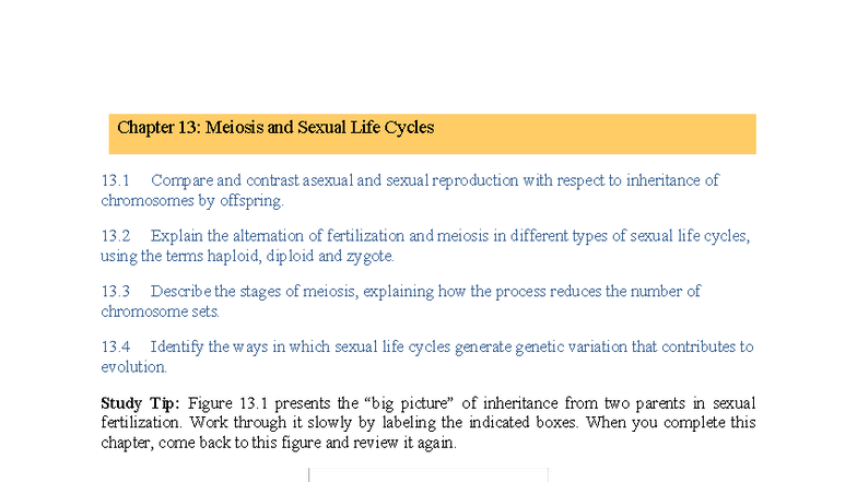 Study Guide: Meiosis & Sexual Life Cycles (Bio 101) - Studocu