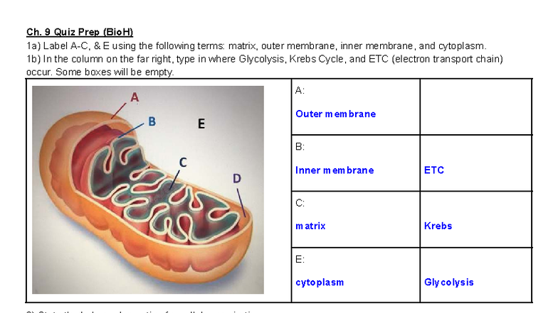 Ch. 9 Quiz Prep - Overview of Cellular Respiration (BioH) - Studocu