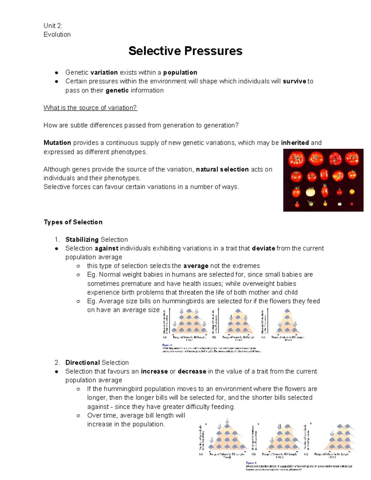 Evolution and Selective Pressures: Types of Natural Selection - Unit 2 ...
