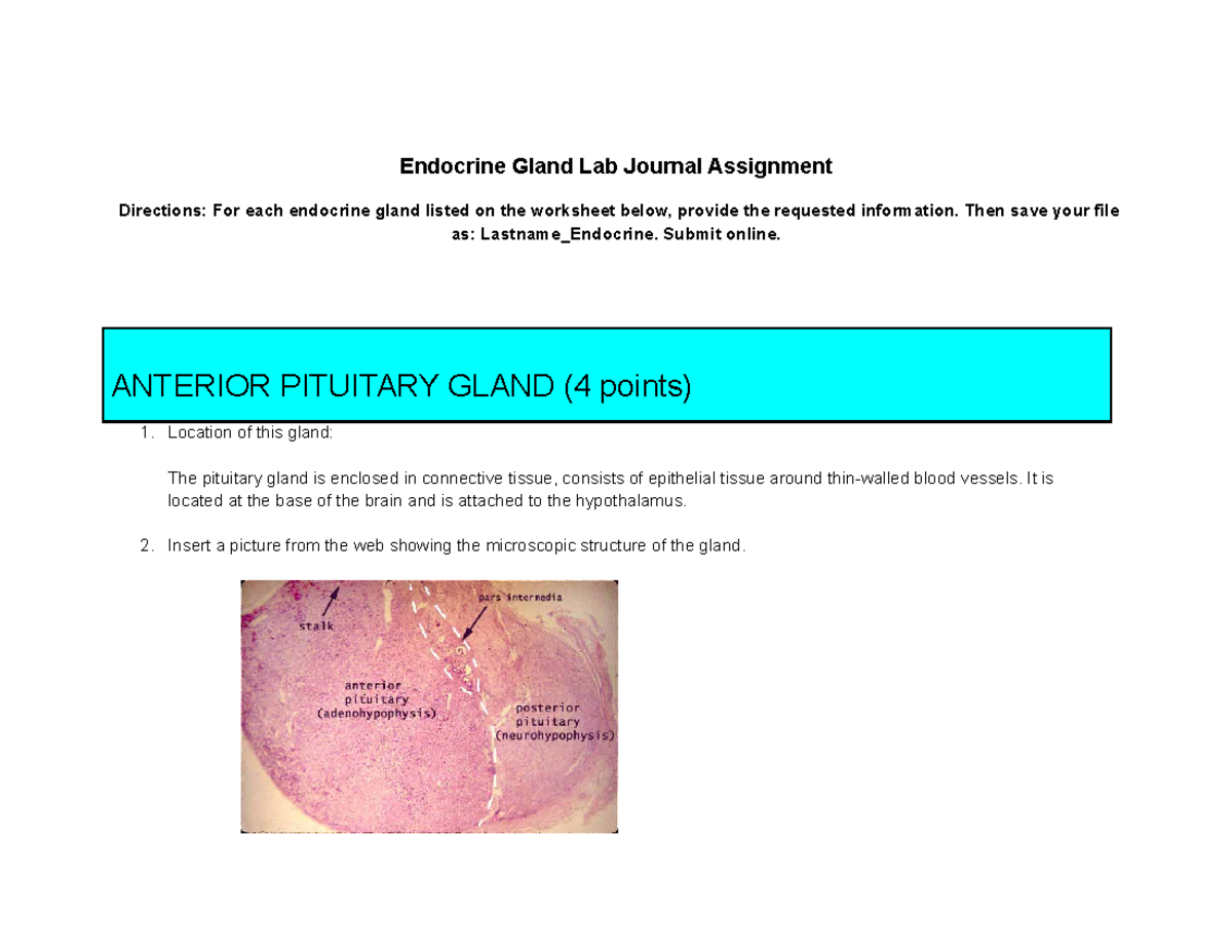 Endocrine Glands Lab Journal Assignment (BIO 210) - Studocu