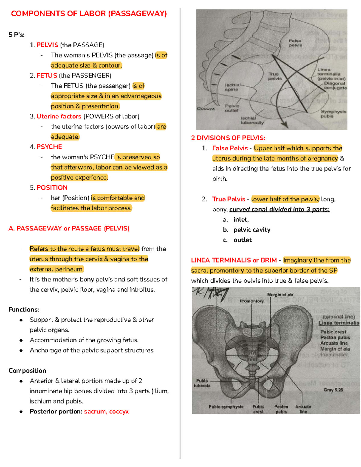 OB Module 12: Components of Labor - Passageway, Powers, Psyche, and ...