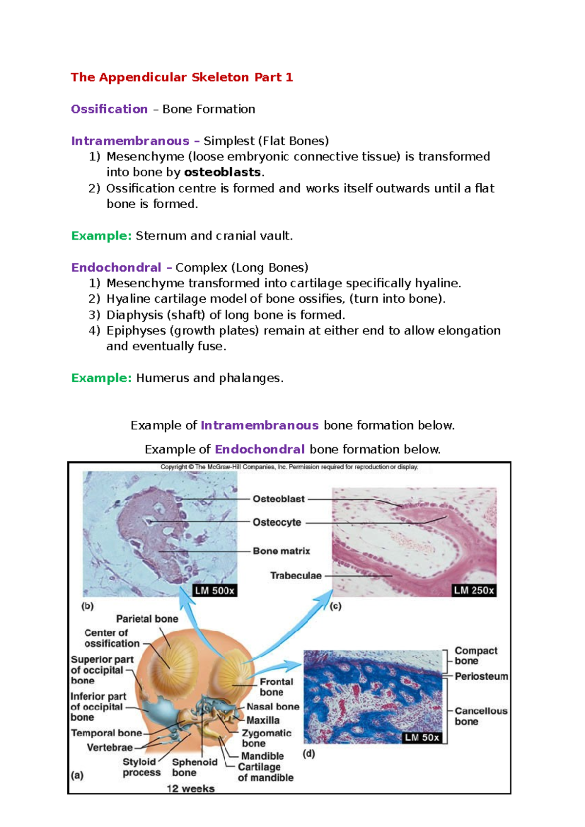 Appendicular Skeleton Overview & Quiz Answers (BIO 101) - Studocu