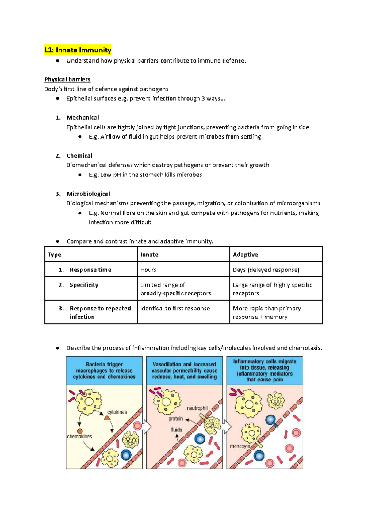 Innate Immunity: Physical Barriers & Immune Response Overview (BIO101 ...