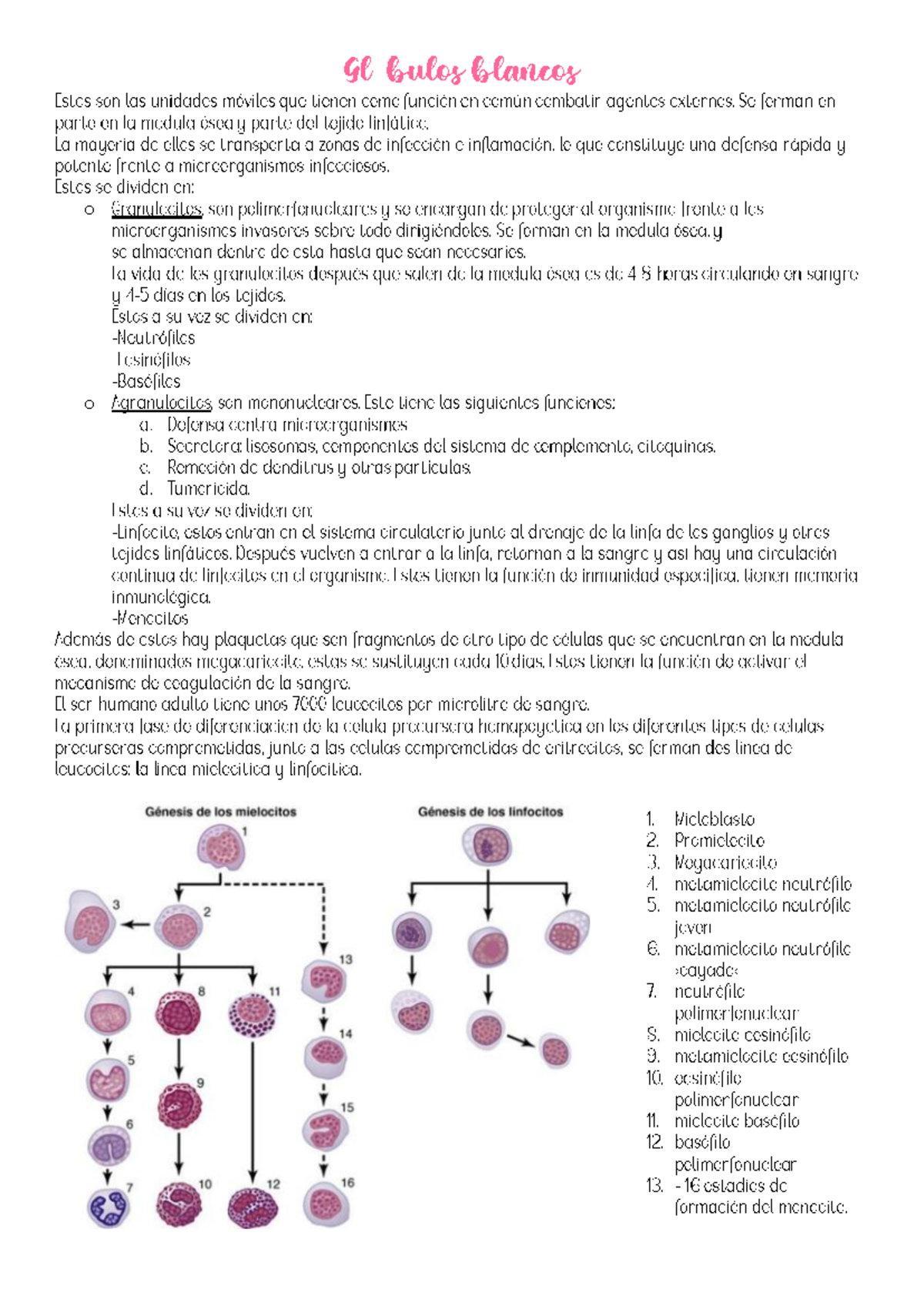 Resumen glóbulos blancos - Fisiología - Glóbulos blancos o Neutrofilos ...