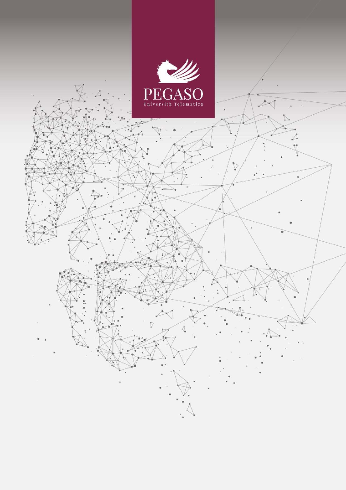 Organizzazione Pegaso 11: Fattori Ambientali e Contesto di Donato Morea ...