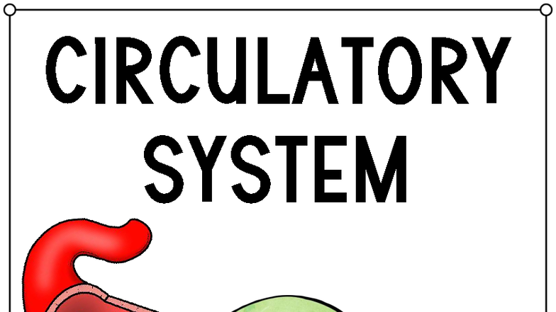 Circulatory System Video Handout - Amoeba Sisters Educational Resource ...