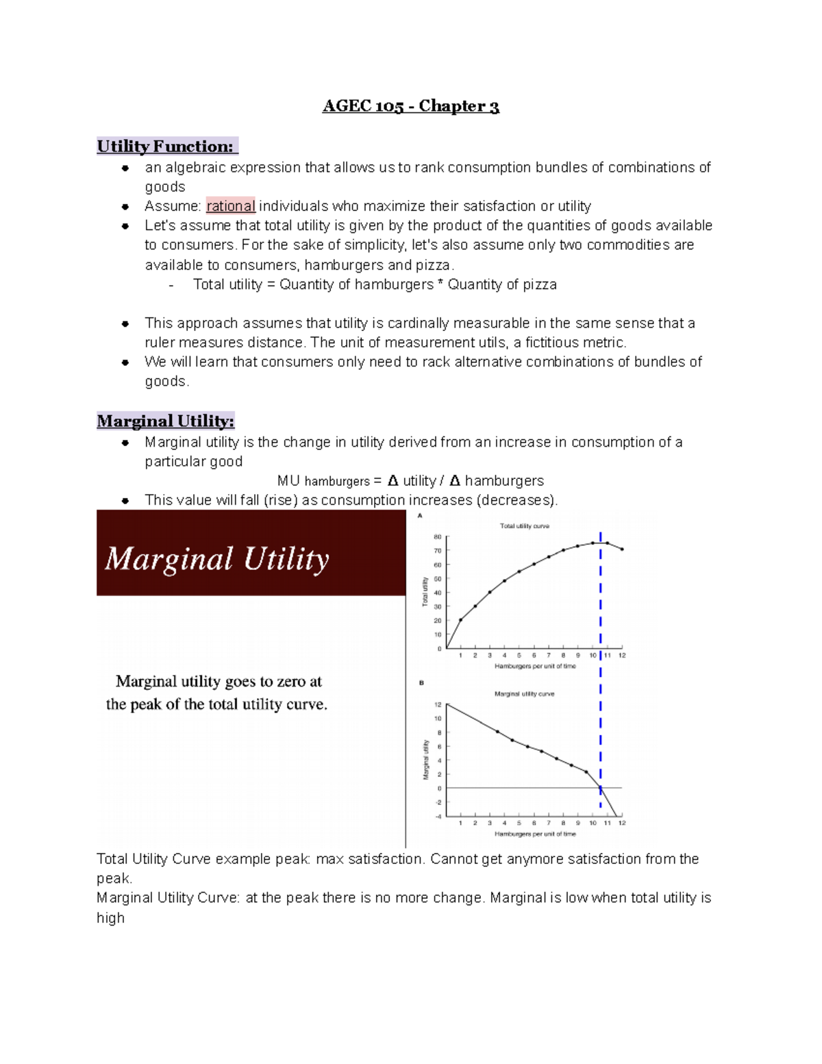 AGEC 105 - Chapter 3: Understanding Utility and Budget Constraints ...