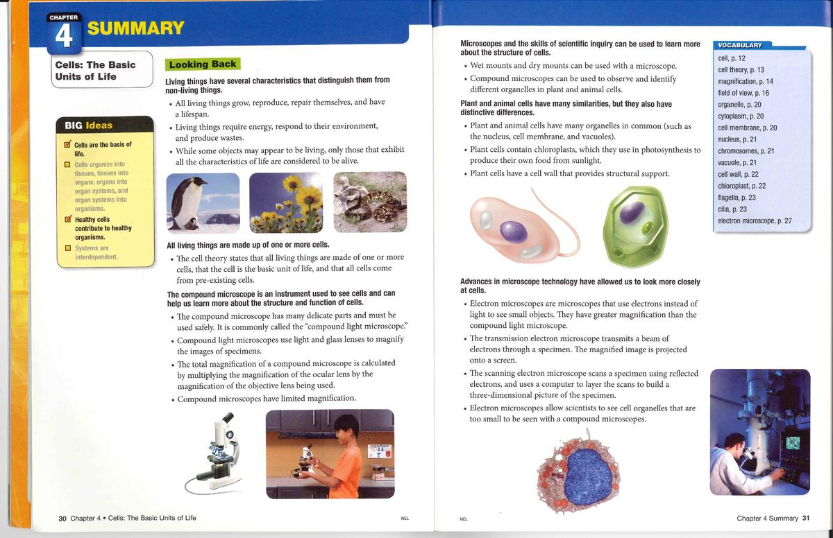 Sci 8 CH4 Summary: Microscopes & Cell Structure Insights - Studocu