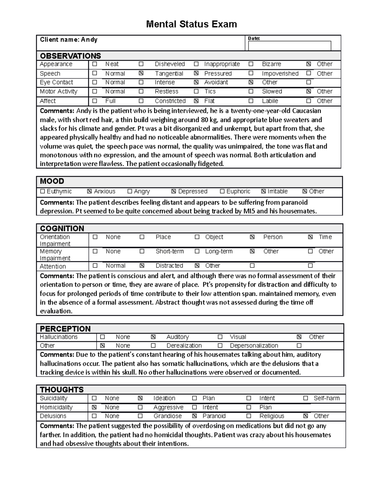 MSE Report for Client Andy - Observations and Assessments - Studocu