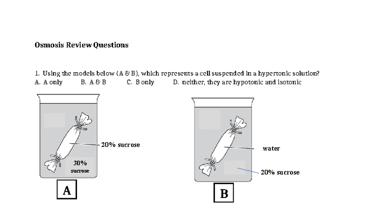 Osmosis Review Questions & Answer Key - Bio 101 - Studocu