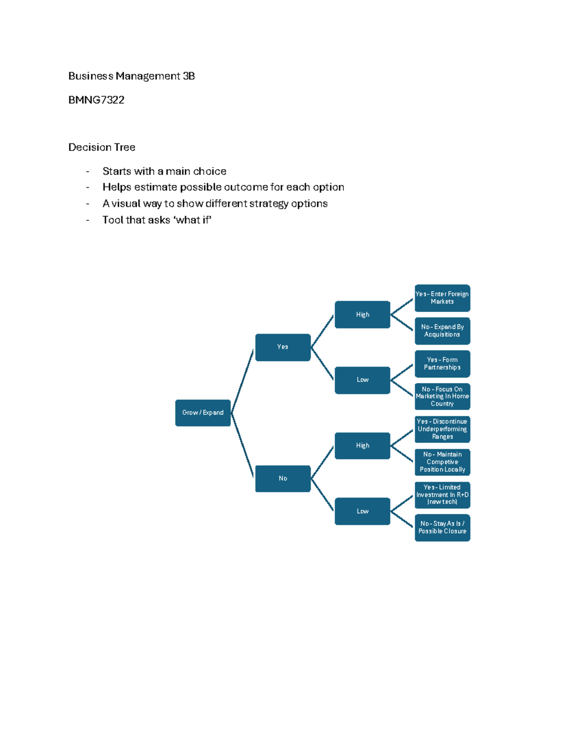 BMNG7322 Decision Tree - Business Management 3B BMNG Decision Tree ...