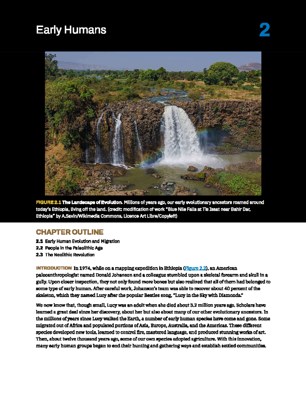 World History Volume 1: Key Themes and Concepts Overview - Early Humans ...