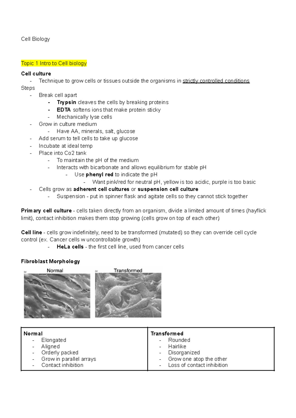 Cell Biology Notes: Overview of Key Concepts and Techniques - Studocu