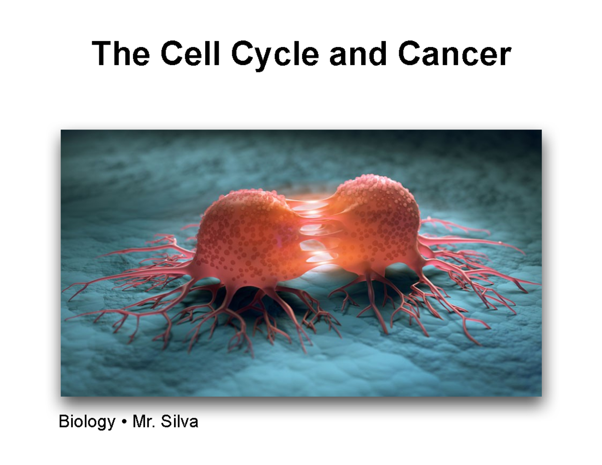 Cell Cycle Overview and Its Relation to Cancer - Biology Notes - The ...