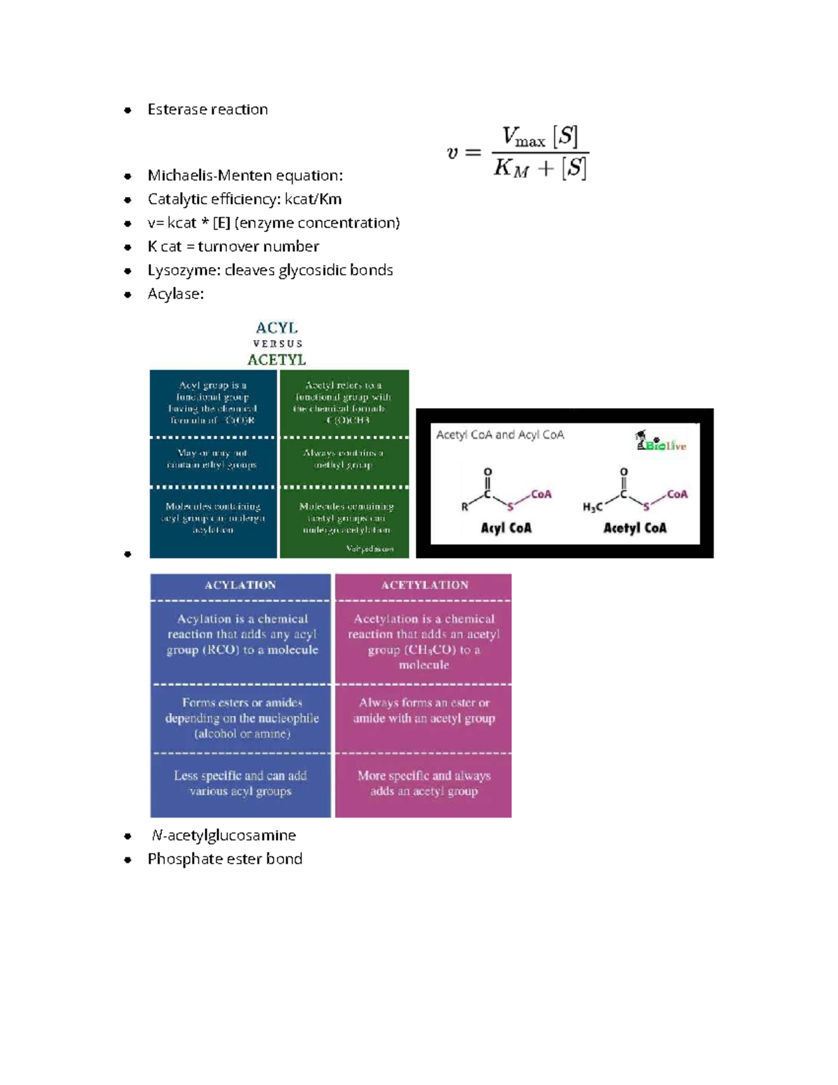 Biochemistry Quiz Bank: Enzyme Kinetics and Mechanisms - BIO 366 ...
