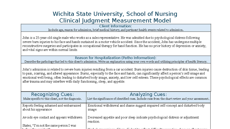 CJMM - Clinical Judgment Model: Client Case Study on John - Studocu