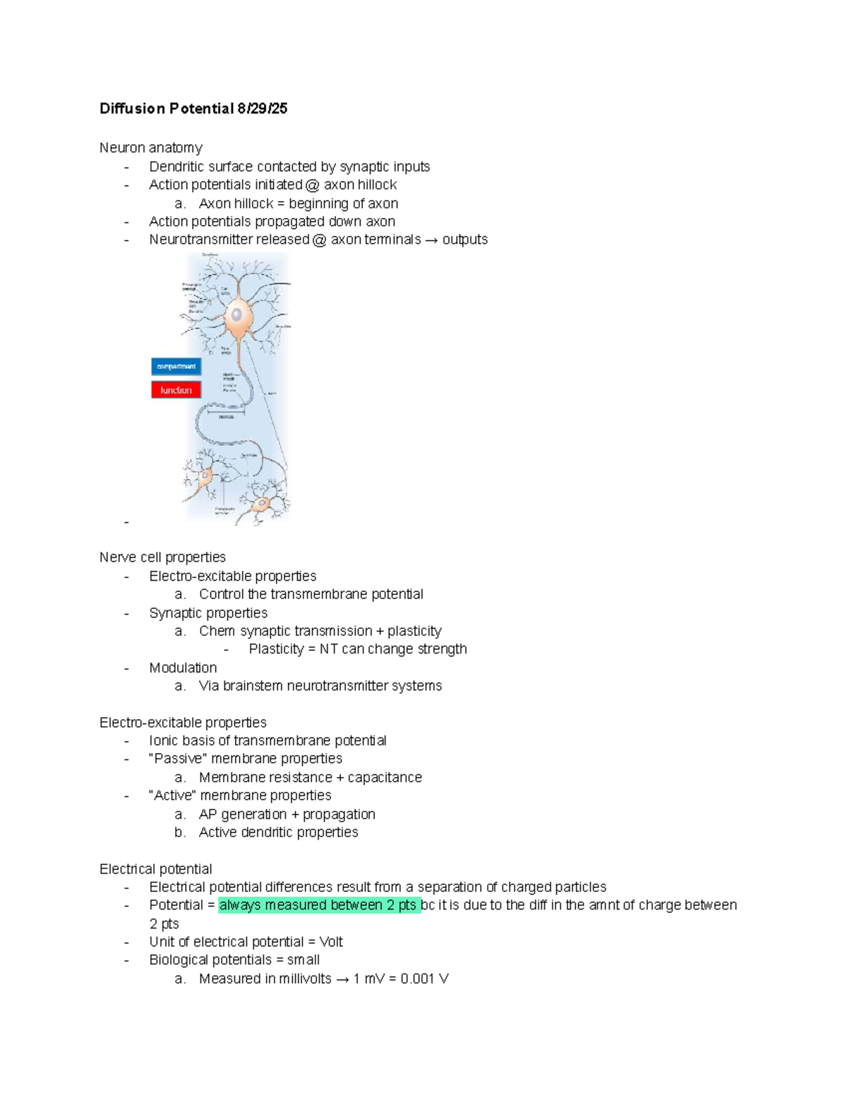 Diffusion Potential and Membrane Dynamics in Neurons - BIOL 101 Final ...