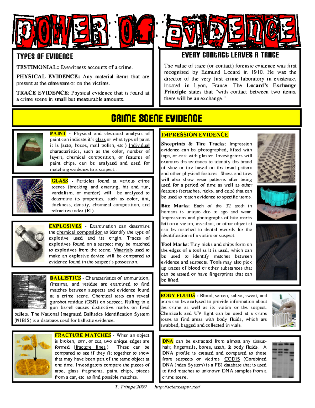 Forensic Evidence Analysis: Types & Importance in Crime Scene ...